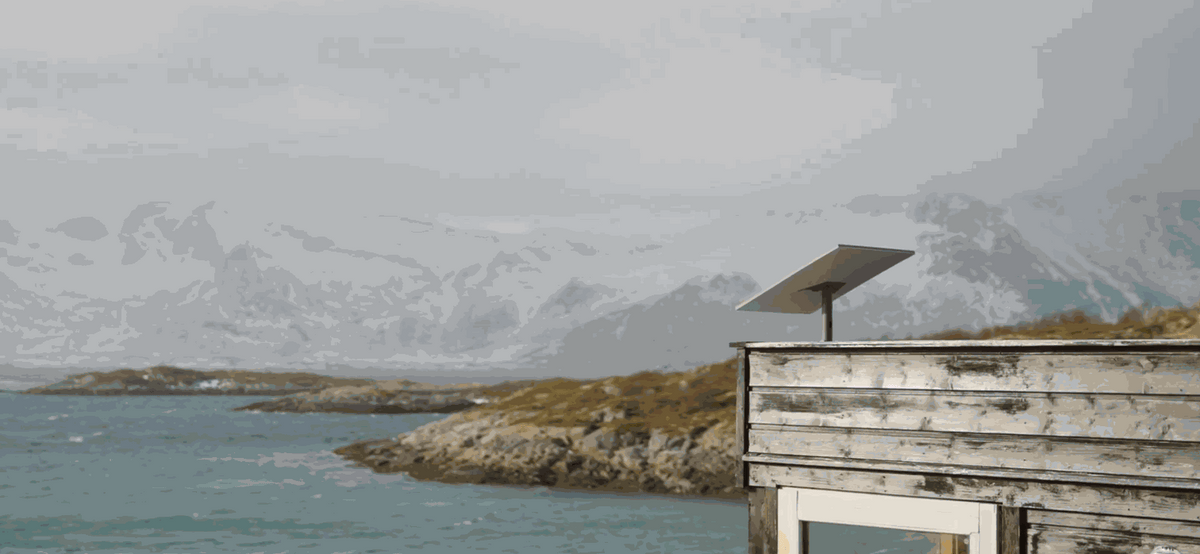 Starlink Steps Up: Free Service & Direct-to-Cell in Jamaica and the ...